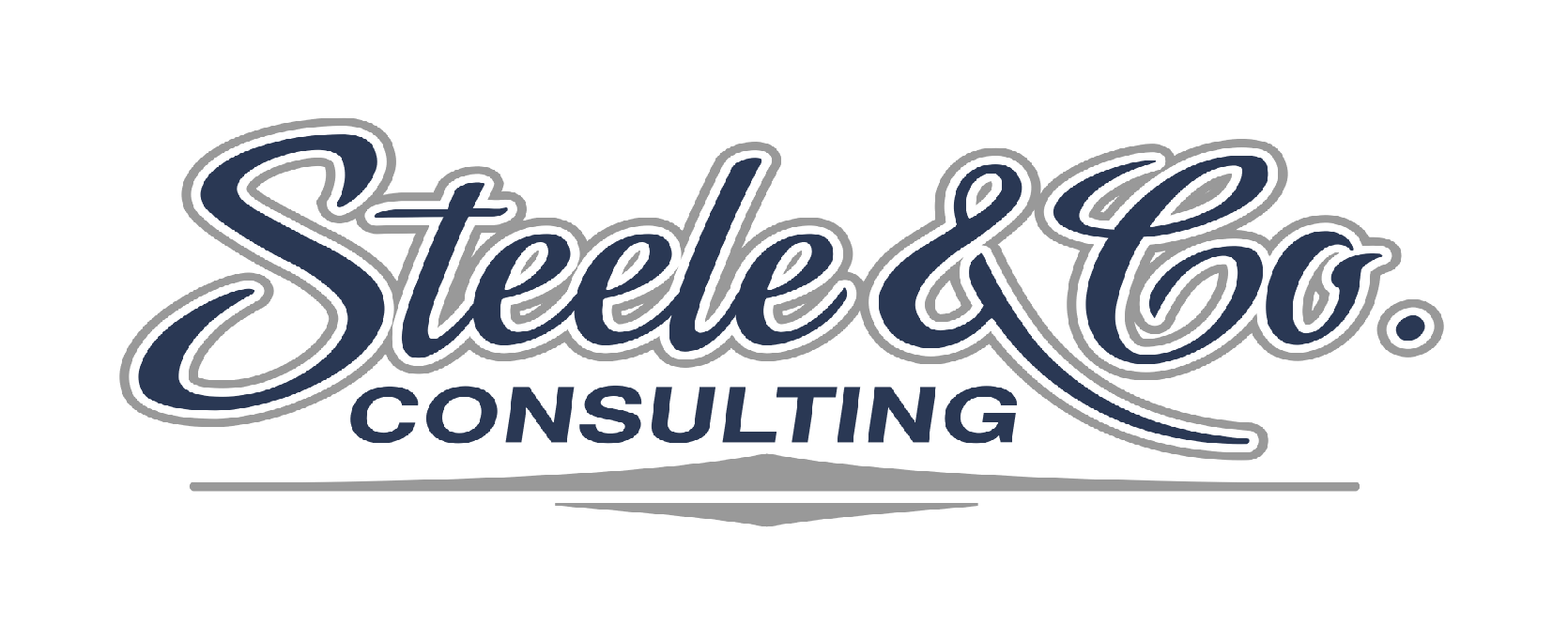 Home - Steele and Co. Consulting